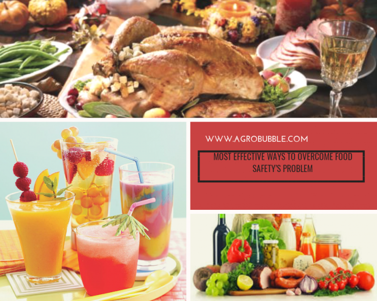 food safety problems and solutions: The easy steps you must not avoid...