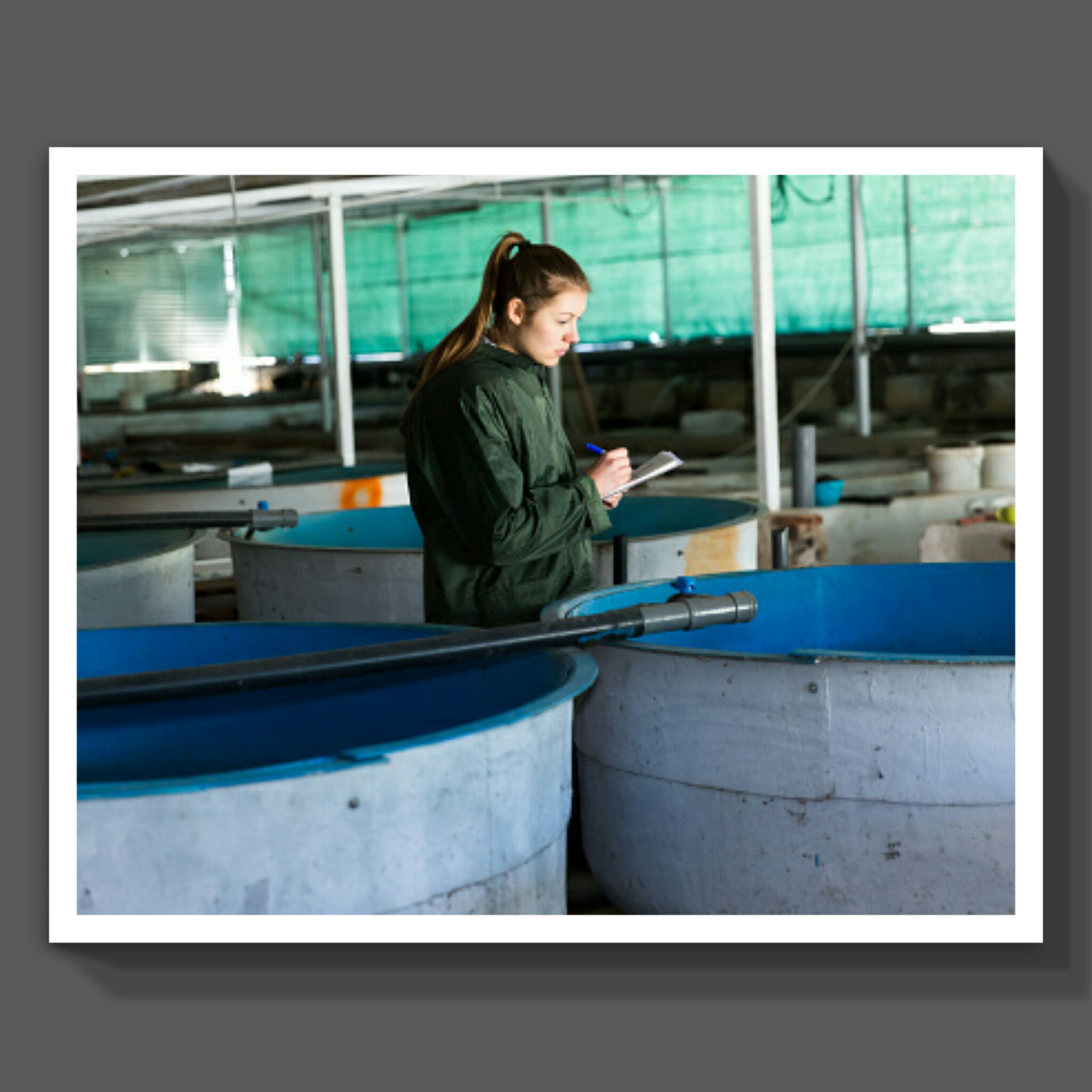 Catfish Production: 9 Things You Should Know | Agrobubble