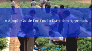 9 Simple Guide For You In Extension Approach. | Agrobubble