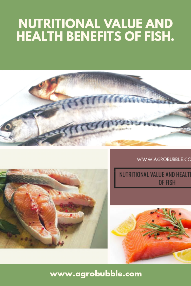 NUTRITIONAL VALUE AND HEALTH BENEFITS OF FISH