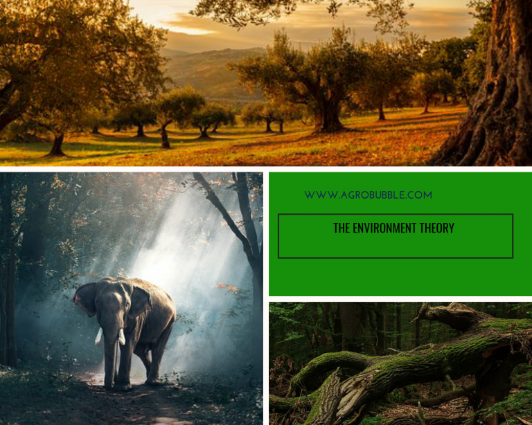 Environment: Types, Components, Domains and importance. | Agrobubble