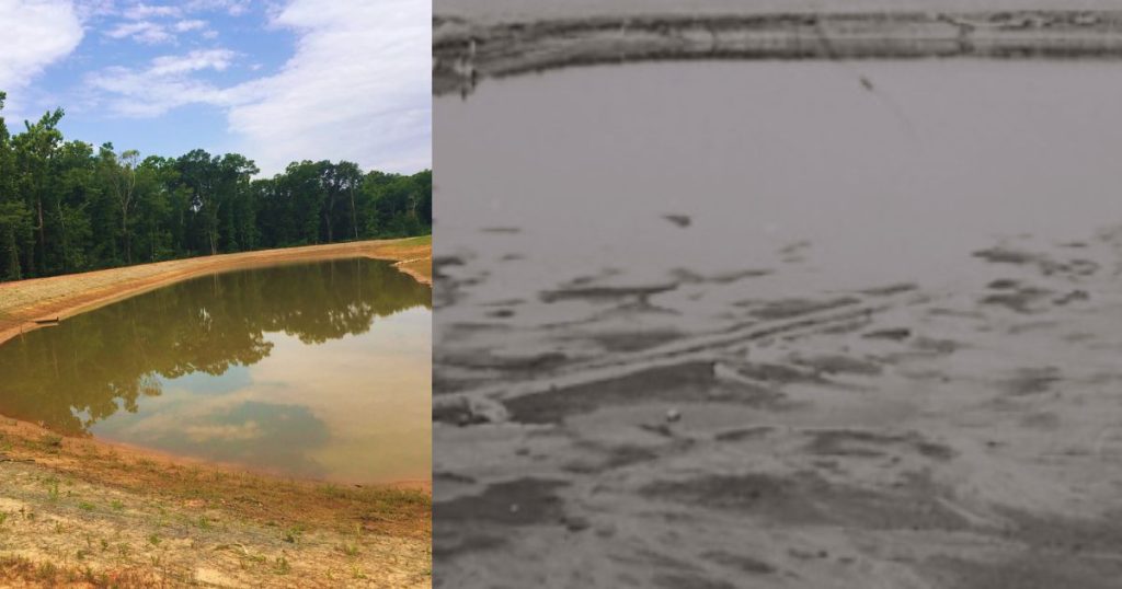 What Is the Best Pond for Catfish? | Agrobubble